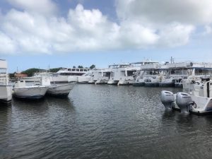 Port Waste Reception Facilities – APWC